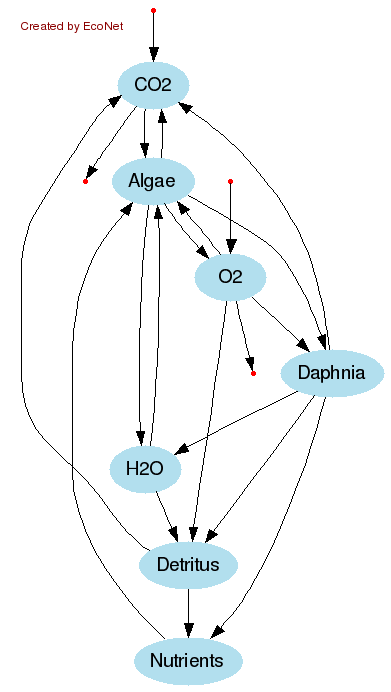EcoNet - Model Examples